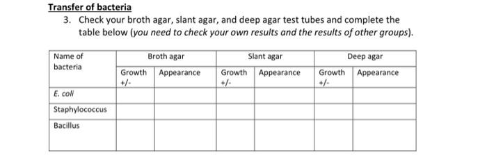 Solved Transfer of bacteria 3. Check your broth agar, slant | Chegg.com