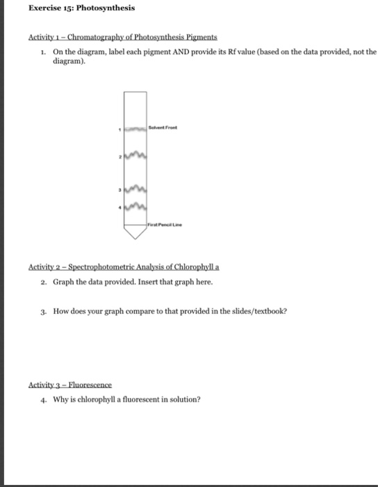 Solved Exercise 15: Photosynthesis Activity 1 - | Chegg.com