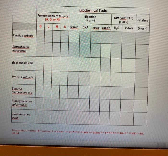 Solved Biochemical Tests Fermentation of Sugars (A, G, or N) | Chegg.com