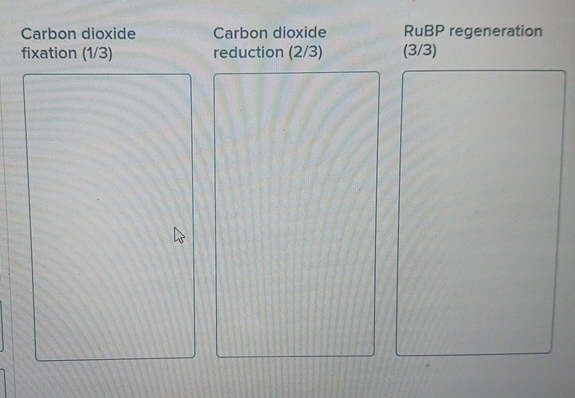 Solved Carbon dioxide fixation (13)Carbon dioxide reduction | Chegg.com
