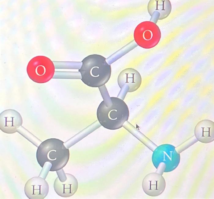 Solved consider the structure of the amink acid alanjne. | Chegg.com