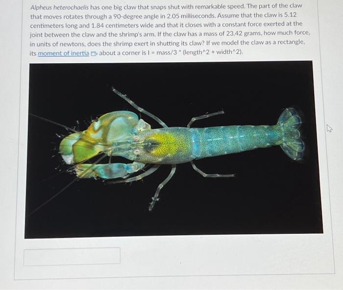 Solved Alpheus heterochaelis has one big claw that snaps | Chegg.com
