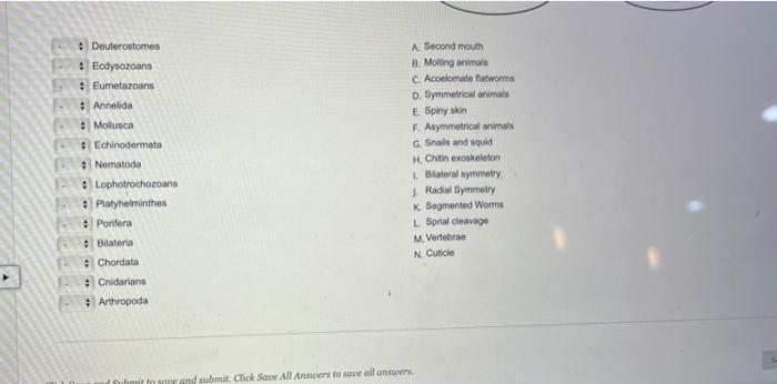 Solved Use this animal diversity concept map to help you | Chegg.com
