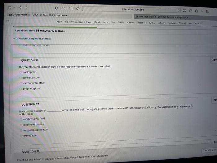 Solved bbhosted.cuny.edu Course Materials - 2021 Full Term | Chegg.com