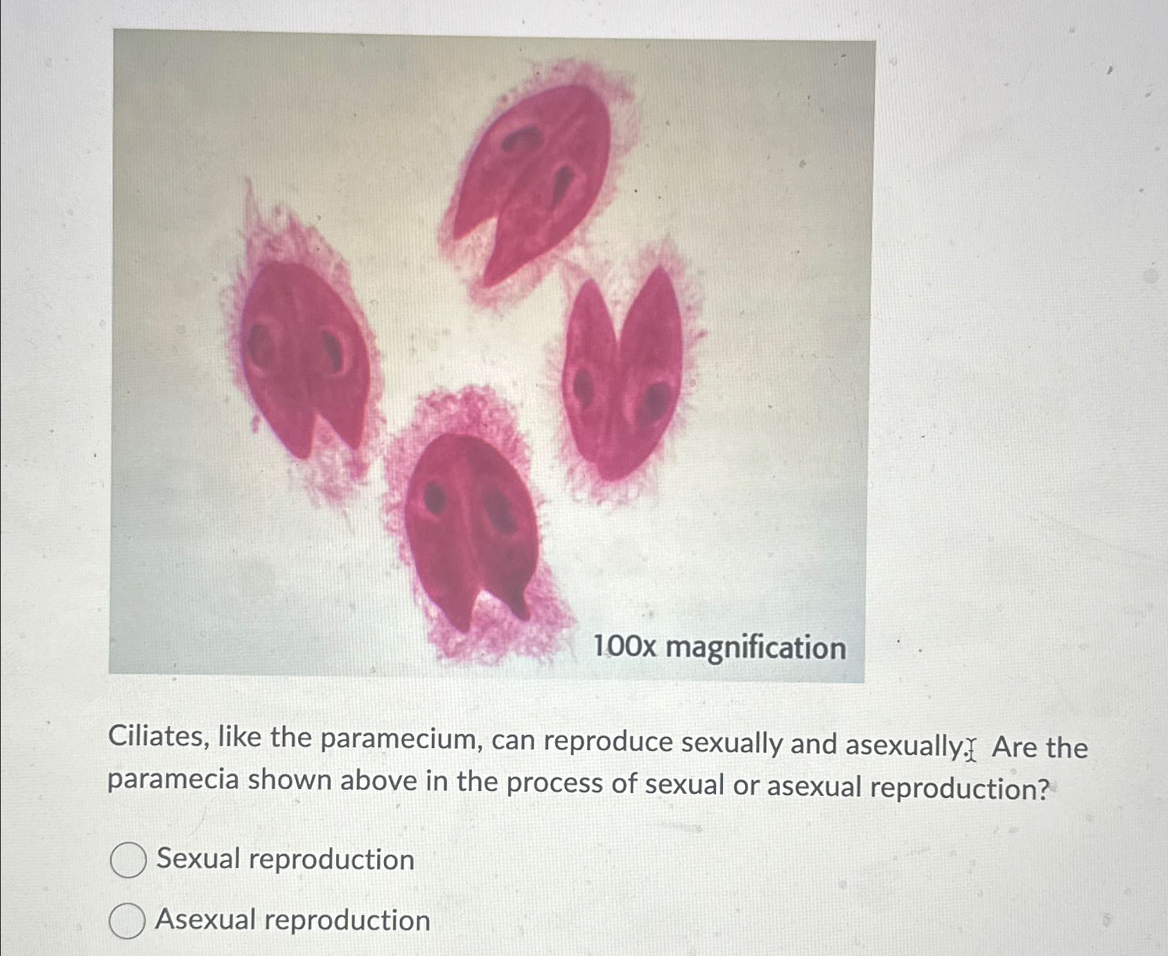 Solved Ciliates, like the paramecium, can reproduce sexually | Chegg.com