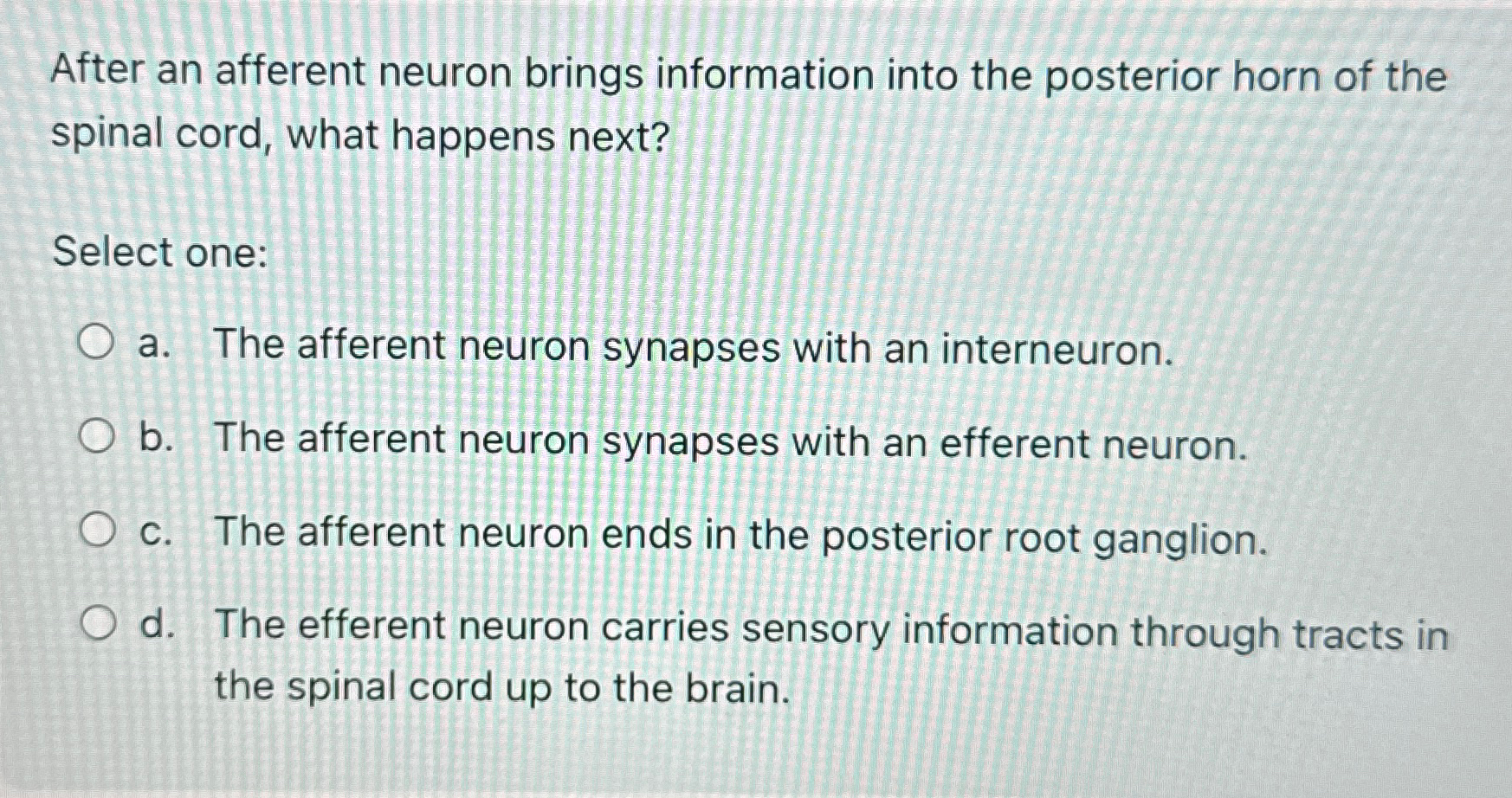 Solved After an afferent neuron brings information into the | Chegg.com