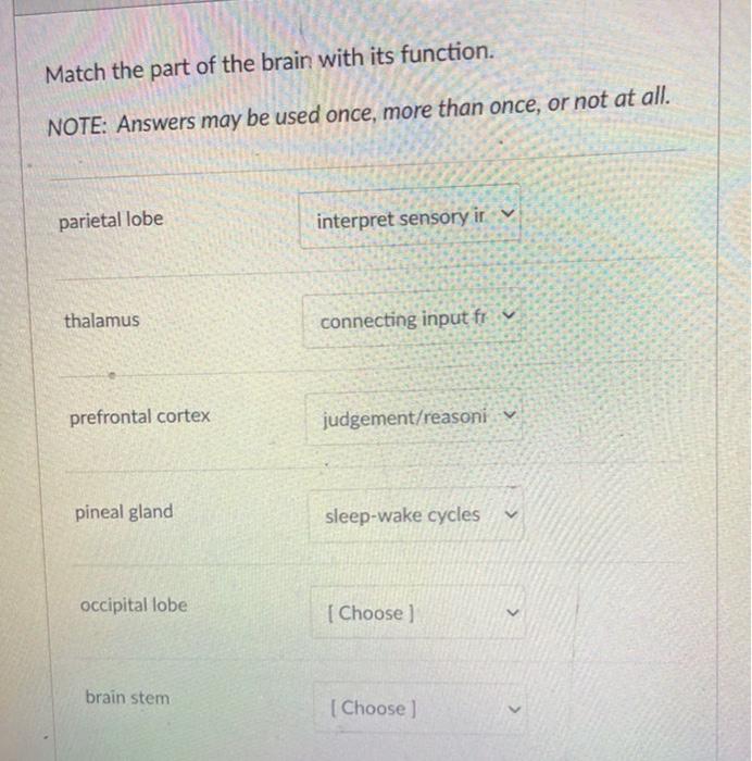 Solved Match the part of the brain with its function. NOTE: | Chegg.com