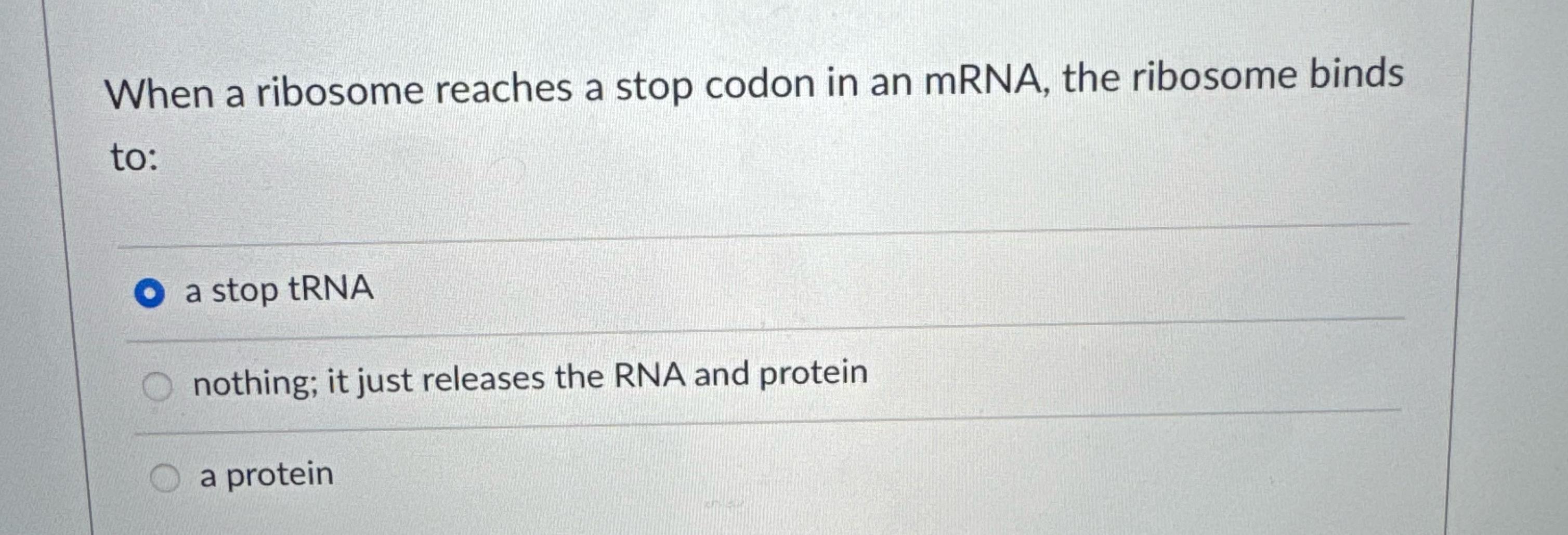 Solved When a ribosome reaches a stop codon in an mRNA, the | Chegg.com