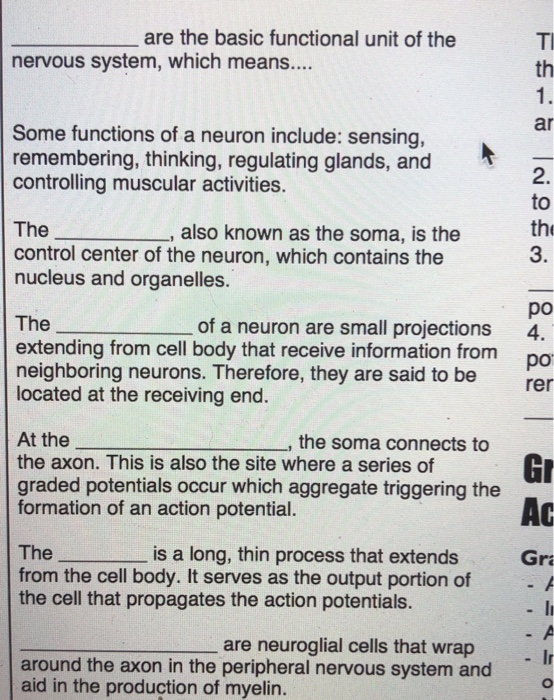 Solved are the basic functional unit of the nervous system, | Chegg.com