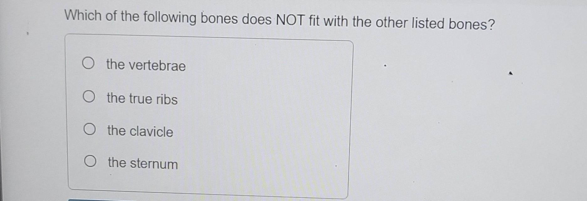 Solved Which of the following bones does NOT fit with the | Chegg.com