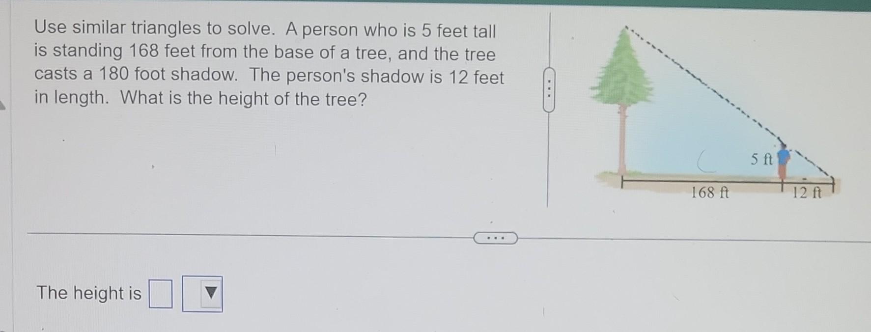 Solved Use similar triangles to solve. A person who is 5 | Chegg.com