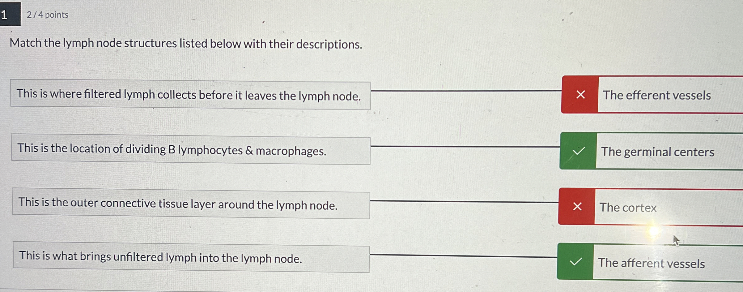 Solved 124 ﻿pointsMatch the lymph node structures listed | Chegg.com