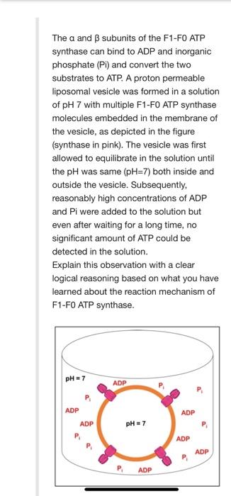 Solved The a and B subunits of the F1-F0 ATP synthase can | Chegg.com