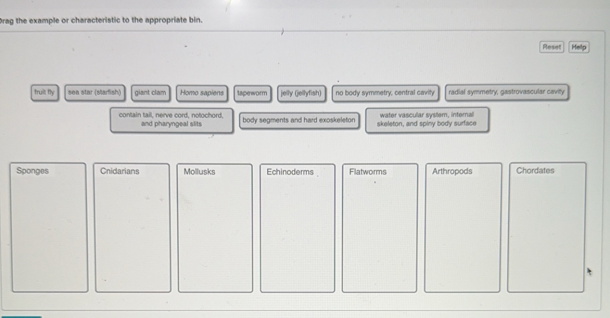 Solved rag the example or characteristic to the appropriate | Chegg.com