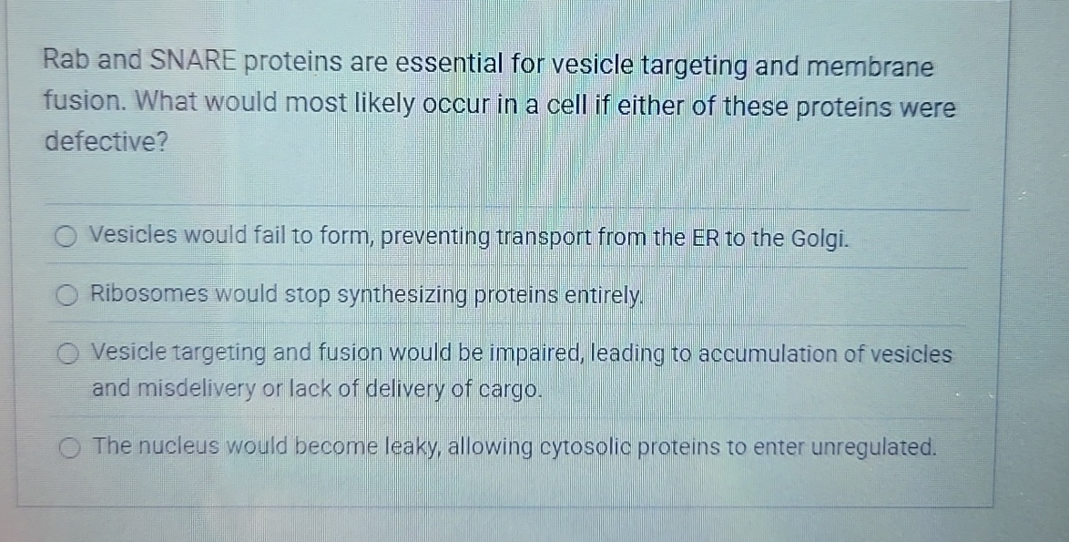 Solved Rab and SNARE proteins are essential for vesicle | Chegg.com