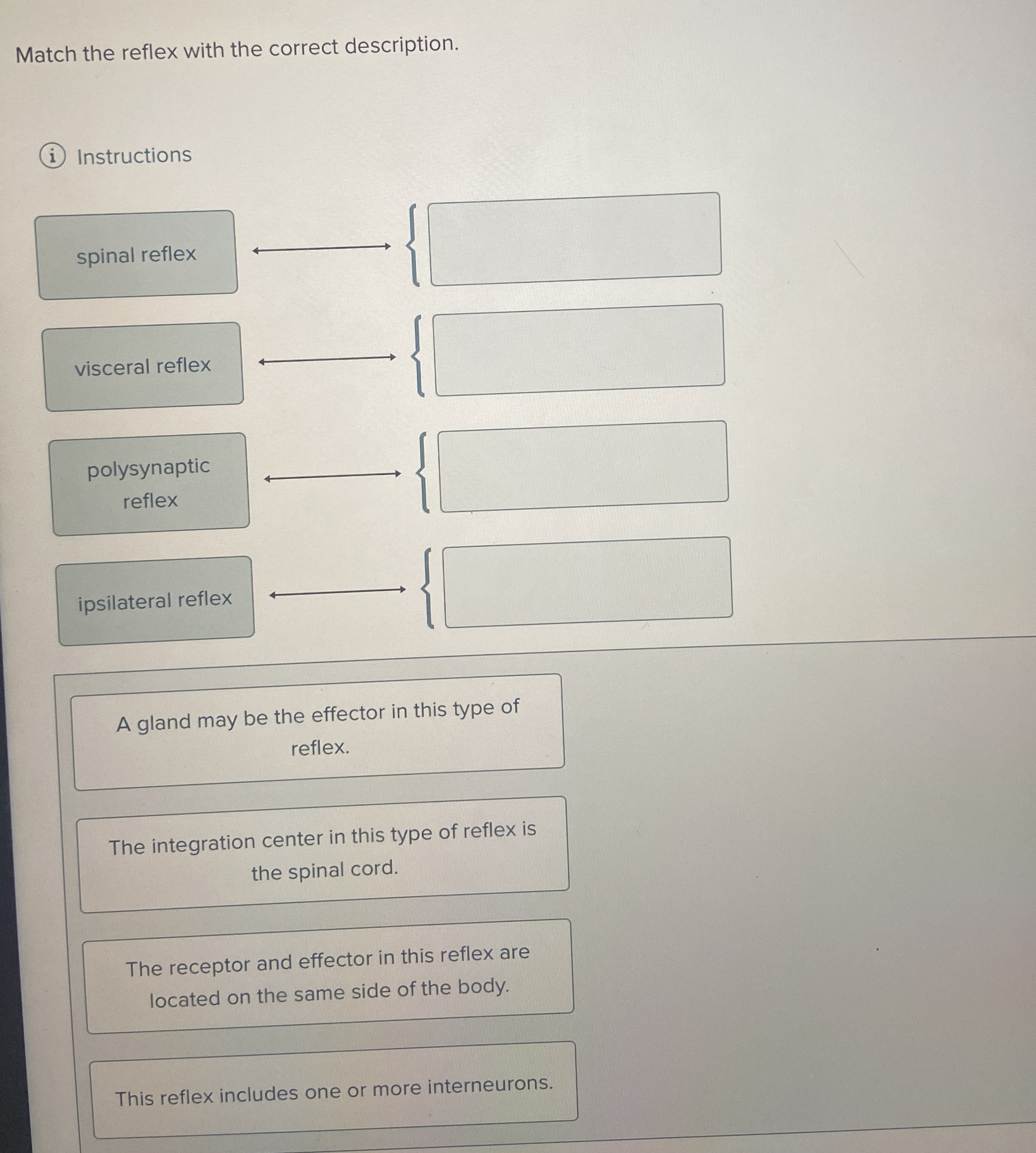 Solved Match the reflex with the correct description. | Chegg.com