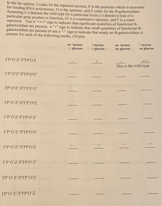 Solved In the lac operon, I codes for the repressor protein, | Chegg.com
