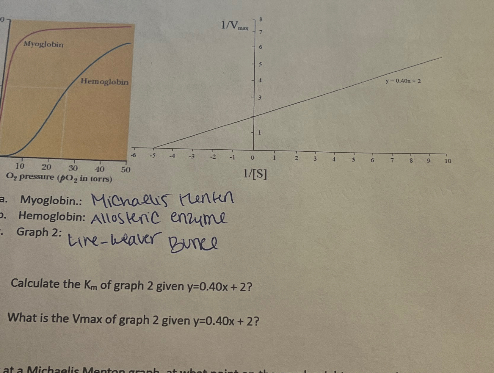Solved Graph 2: line-weaver burreCalculate the Km ﻿of graph | Chegg.com