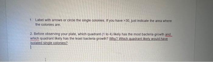 Solved 1. Label with arrows or circle the single colonies. | Chegg.com