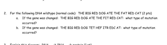 Solved 2. For the following DNA wildtype (normal code): THE | Chegg.com