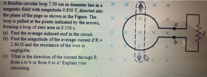 Solved K A flexible circular loop 7.50 cm in diameter lies | Chegg.com