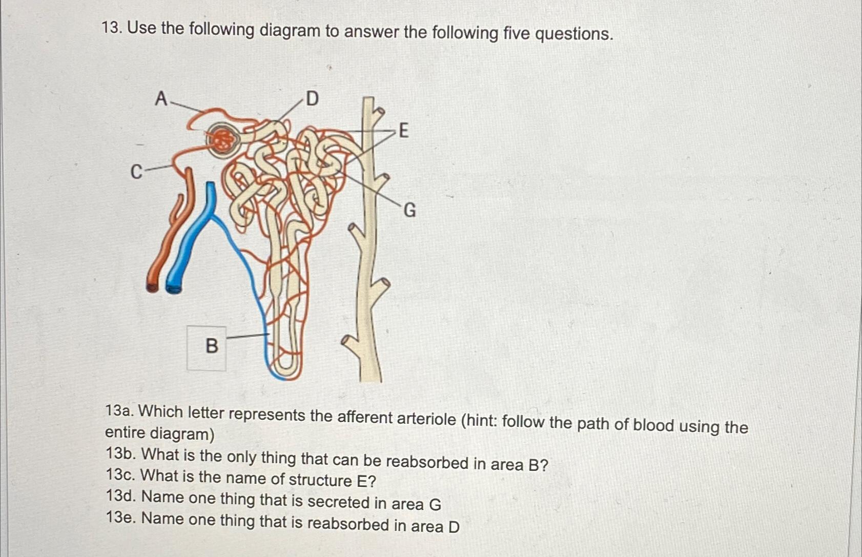 Solved 13. ﻿Use the following diagram to answer the | Chegg.com