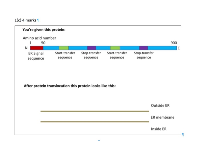 Solved ITEM-1 (TOTAL 10 marks] Start-transfer and | Chegg.com