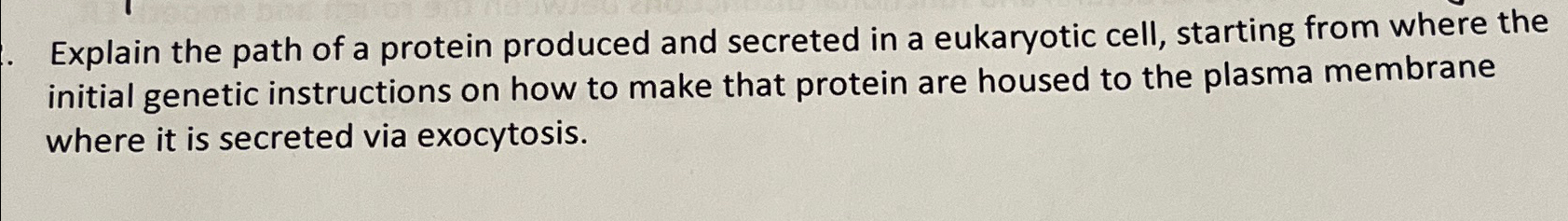 Solved Explain the path of a protein produced and secreted | Chegg.com