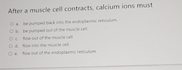 Solved After a muscle cell contracts, calcium ions musta. | Chegg.com