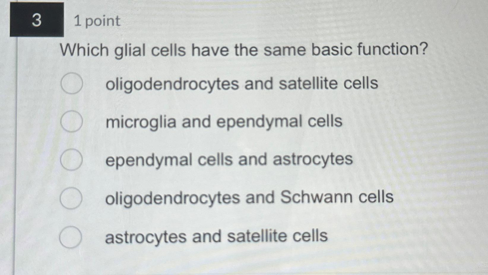 Solved 31 ﻿pointWhich glial cells have the same basic | Chegg.com