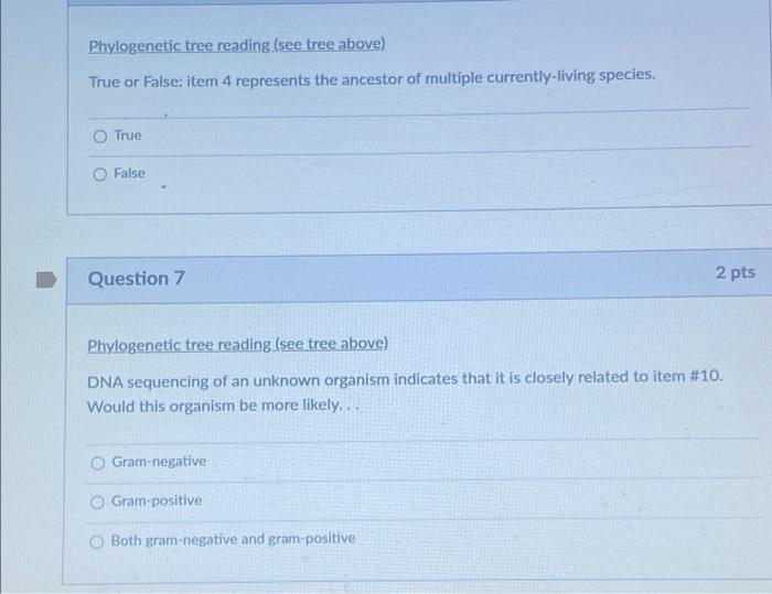 Solved For the following questions about phylogenetic tree | Chegg.com