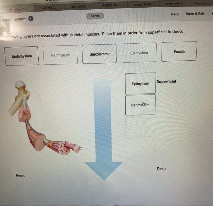 Solved Launch Meet Jamboard: MyOCC Stud McGraw Hi Quechu | Chegg.com
