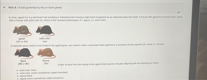 Solved In the same mouse species, a third unlrked gene (gene | Chegg.com