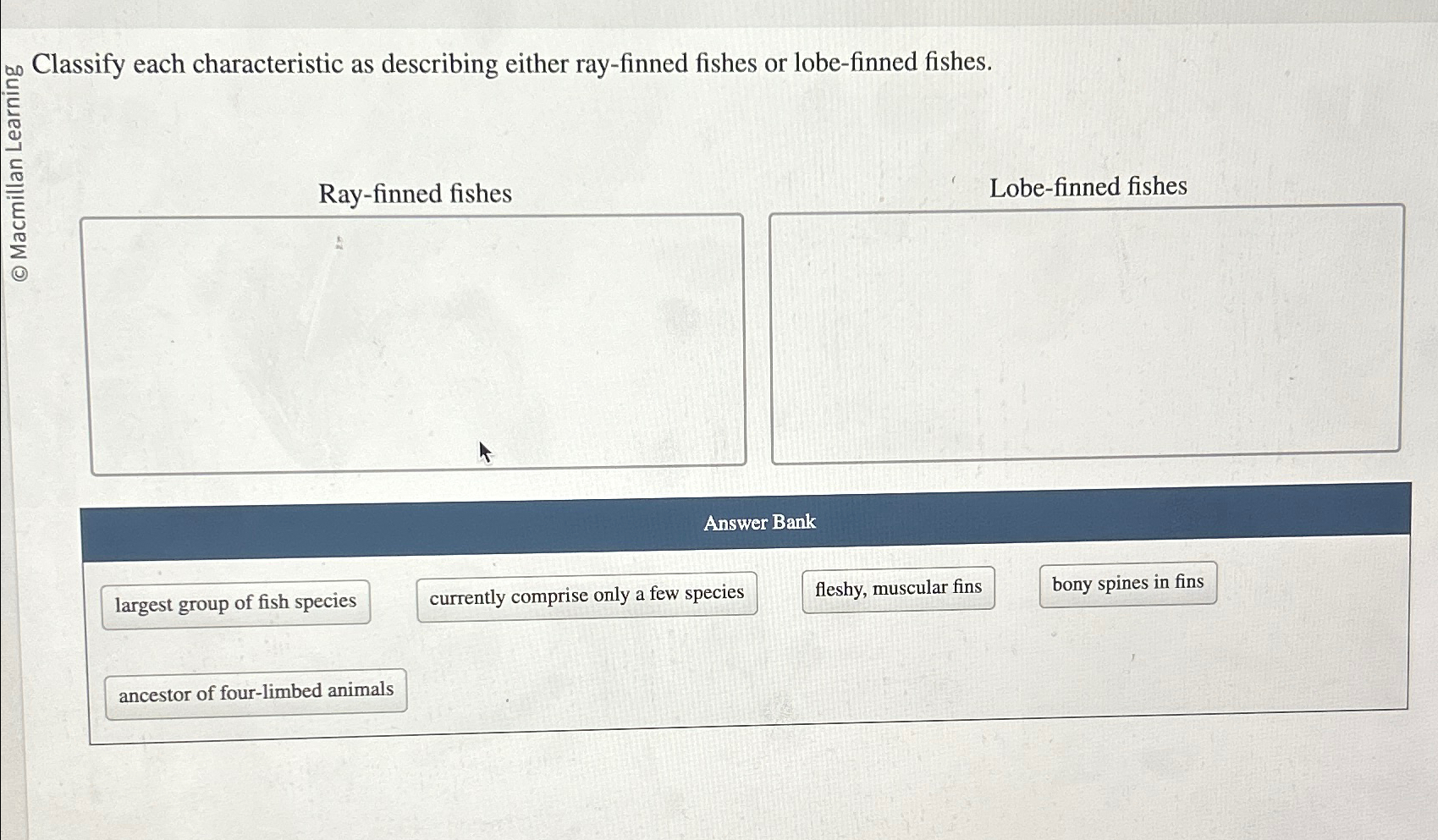 Solved ¿0 ﻿Classify each characteristic as describing either | Chegg.com