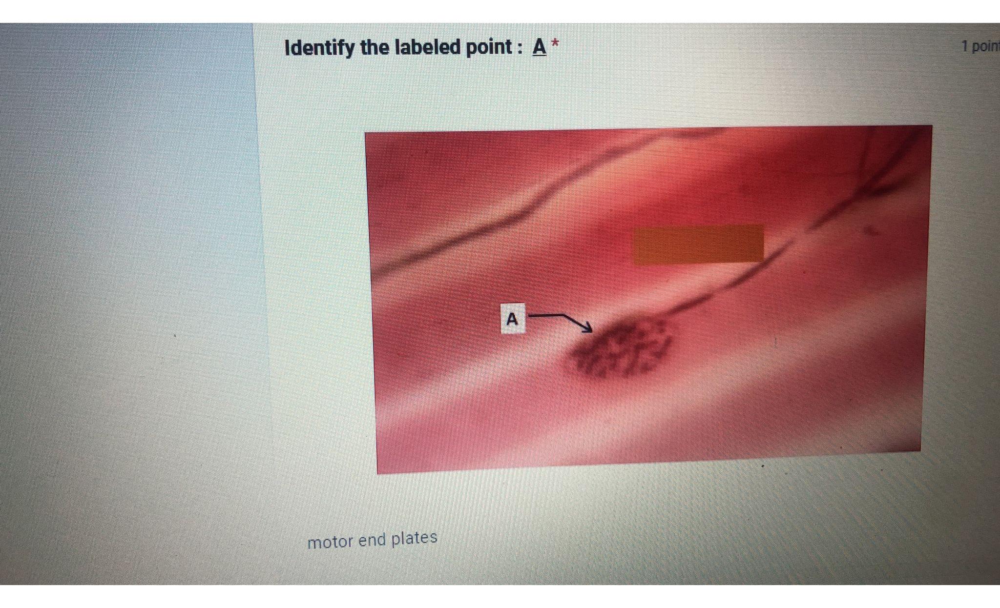Solved Identify the labeled point: A? | Chegg.com
