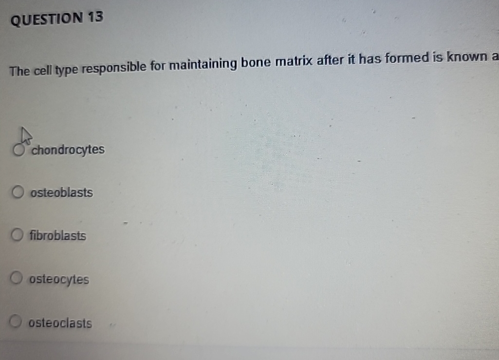 Solved QUESTION 13The cell type responsible for maintaining | Chegg.com