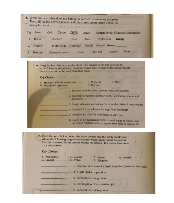 Solved 2010 4. Circle the term that does not belong in each | Chegg.com