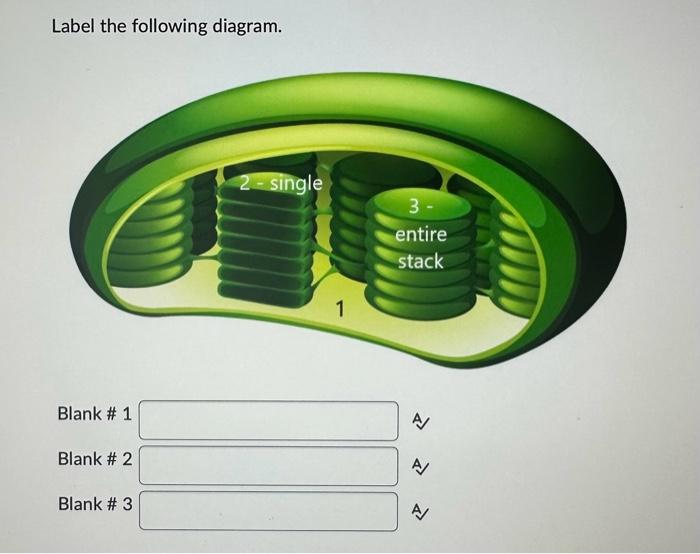 Solved 1 - this area Blank \# 1 Blank \# 2 Blank \# 3 Blank | Chegg.com
