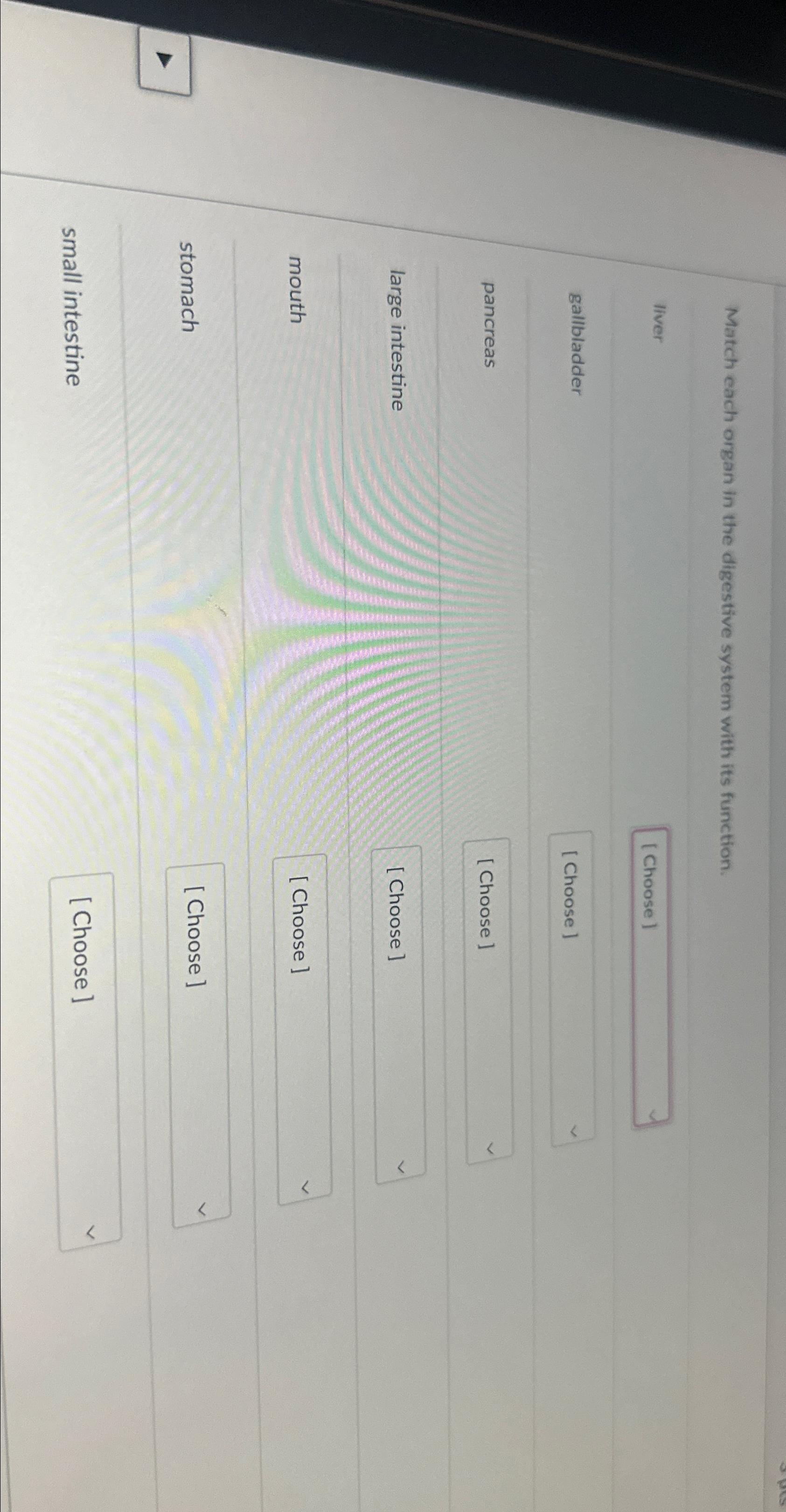 Solved Match each organ in the digestive system with its | Chegg.com