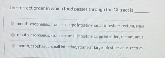 Solved The correct order in which food passes through the GI | Chegg.com