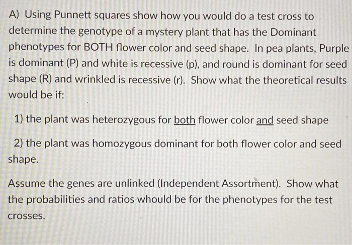 Solved A) Using Punnett squares show how you would do a test | Chegg.com