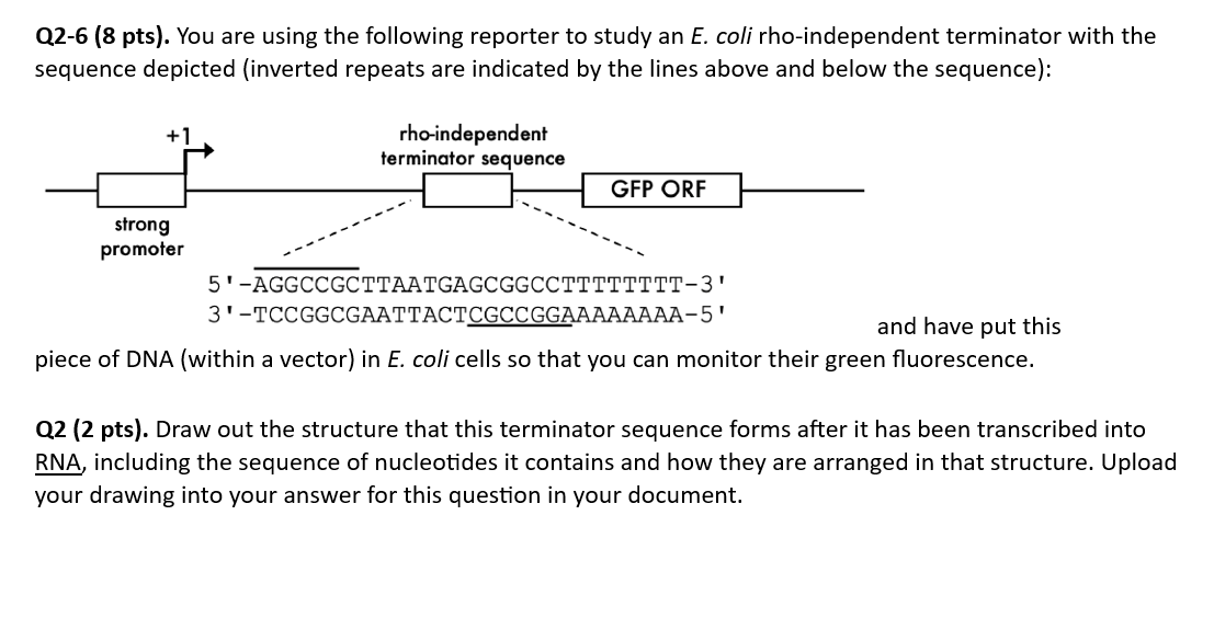 Solved Q2-6 (8 ﻿pts). ﻿You are using the following reporter | Chegg.com