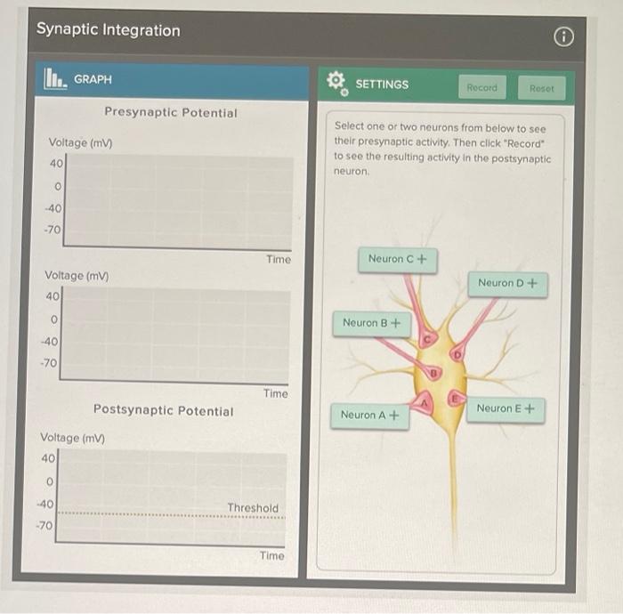 Solved Required information Synaptic Integration Synaptic | Chegg.com