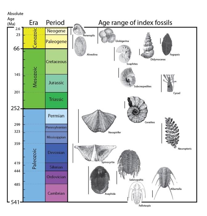 Solved Scotland (photograph by Jaime Barnes) 5. Draw a line | Chegg.com
