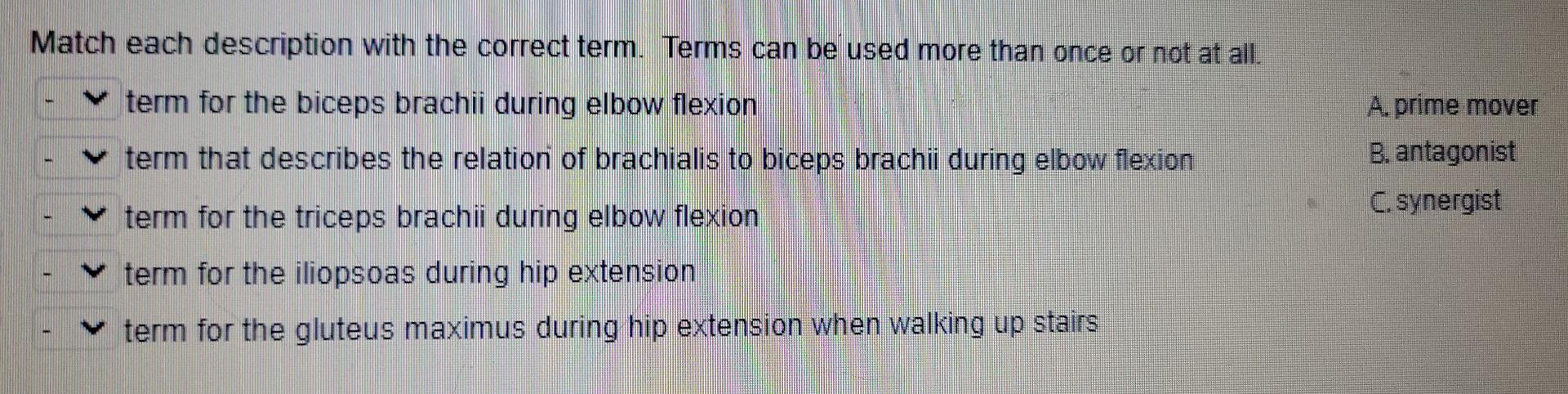 Solved Match each description with the correct term. Terms | Chegg.com