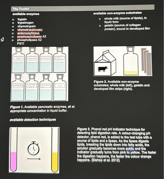 Solved ayallable detection techniques Figure 3. Phenol red | Chegg.com