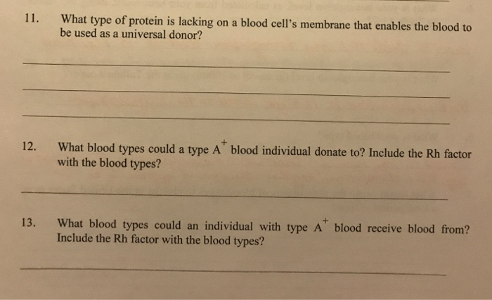 Solved 11. What type of protein is lacking on a blood cell's | Chegg.com