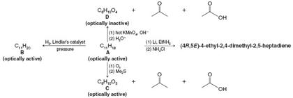 Solved Deduce the structures of compounds A–D. Draw | Chegg.com