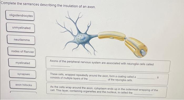 Solved Complete the sentences describing the insulation of | Chegg.com