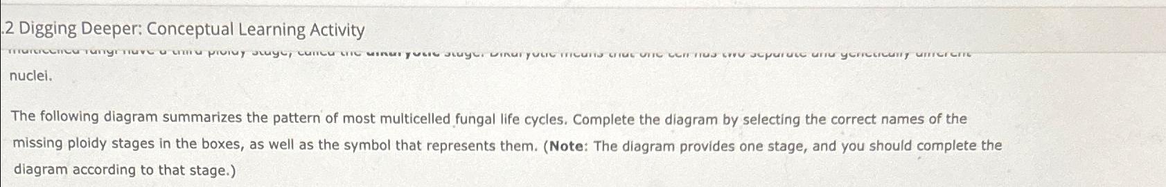 Solved 2 ﻿Digging Deeper: Conceptual Learning | Chegg.com